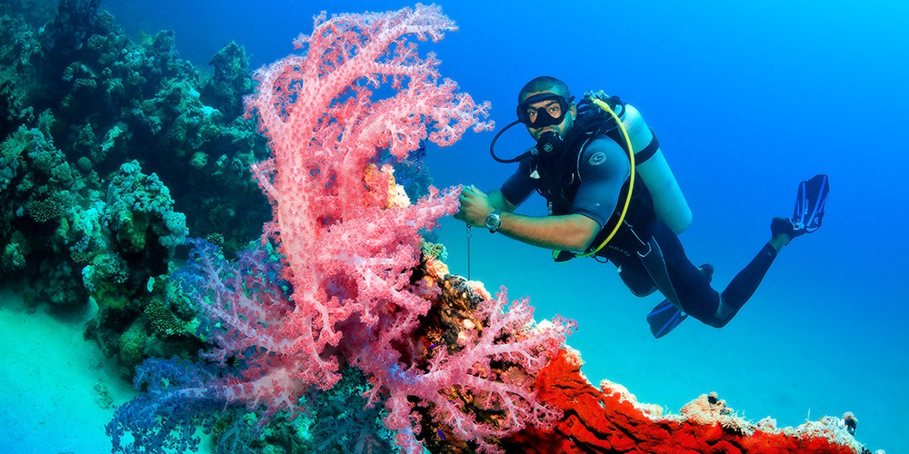 Discover Scuba Diving in Hurghada – Trips in Egypt
