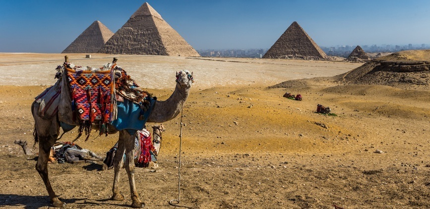 Day Trip from Sharm El Sheikh to Cairo by Bus | Cairo Tour from Sharm
