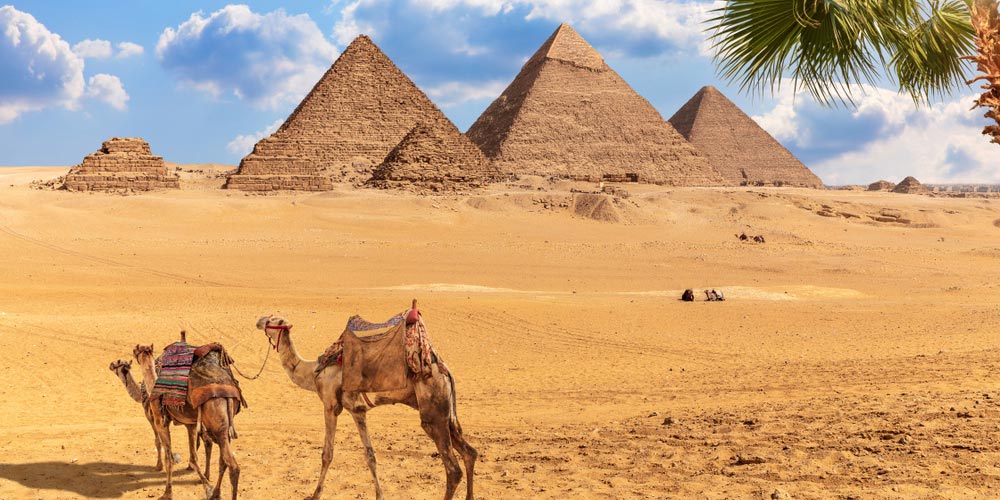 Tour to Cairo and Giza Pyramids From Sokhna Port | Cairo Day Trip from ...