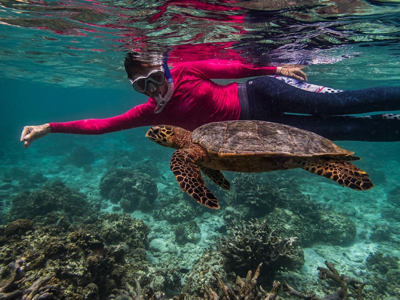 Egypt Tours Include Red Sea Holidays 2022 - Trips In Egypt