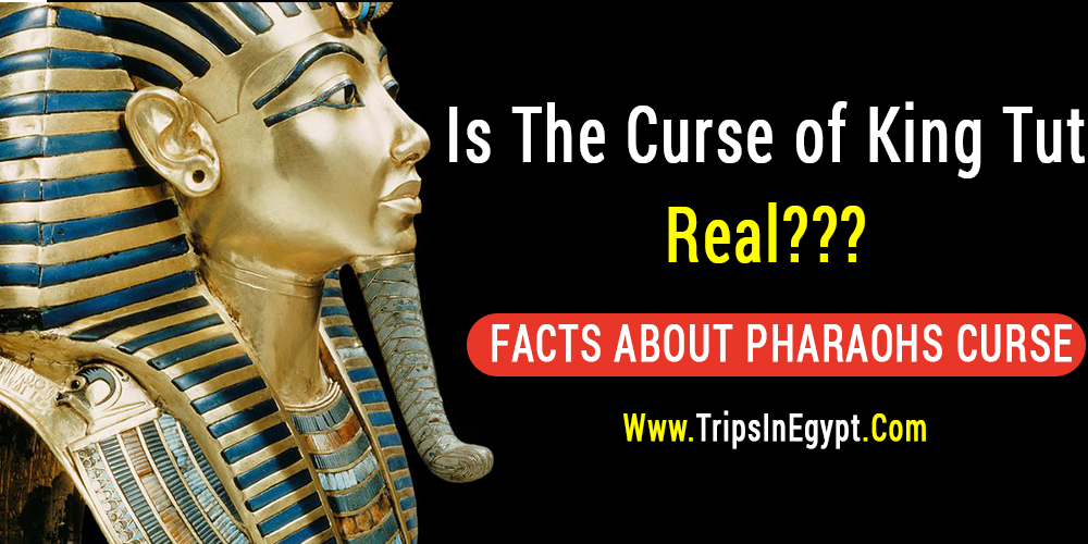 The Pharaohs' Curse - Curse Of Tutankhamun Facts - Is The Curse of King ...