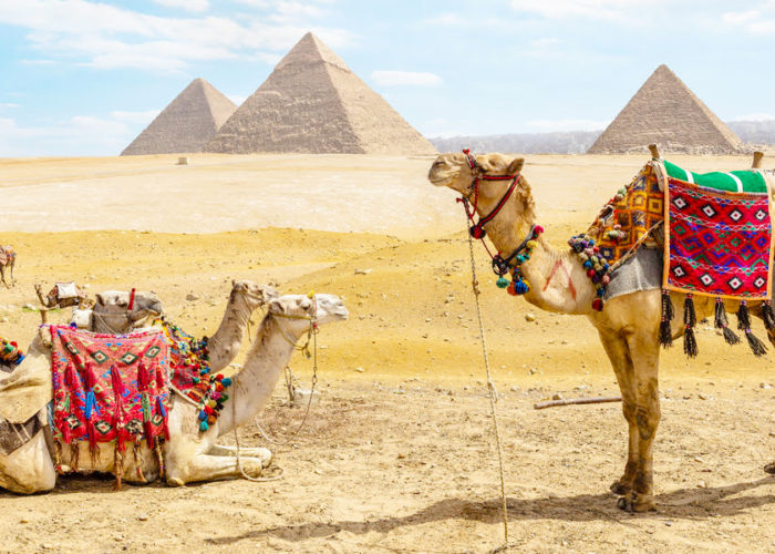 Discover the Secrets of Ancient Egyptian Civilization - Trips in Egypt