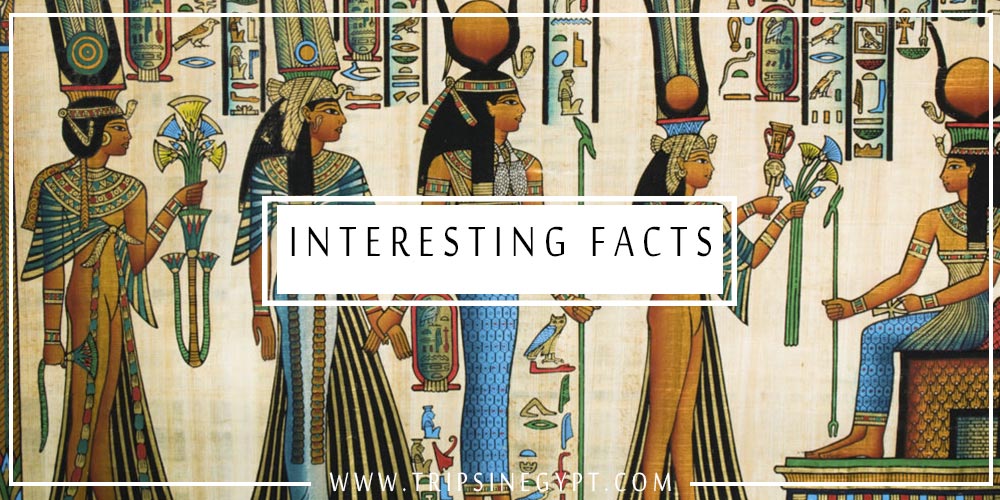 The Role Of Women In Ancient Egypt Ancient Egyptian Women Facts 2022