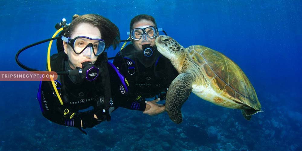 Scuba Diving from EL Gouna | Diving Trip in El Gouna - Trips In Egypt