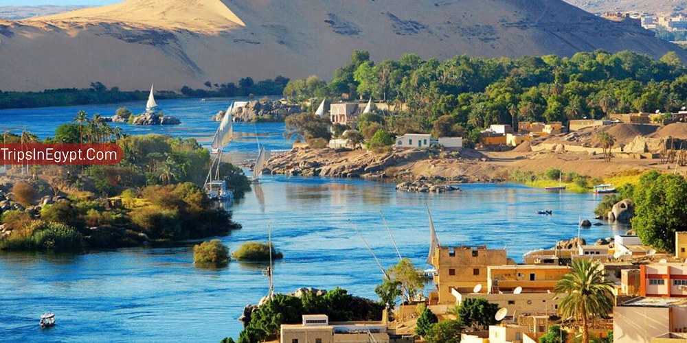 Nubian Village Tour From Aswan Trips In Egypt nubian-village-tour-from-aswan-trips-in-egypt