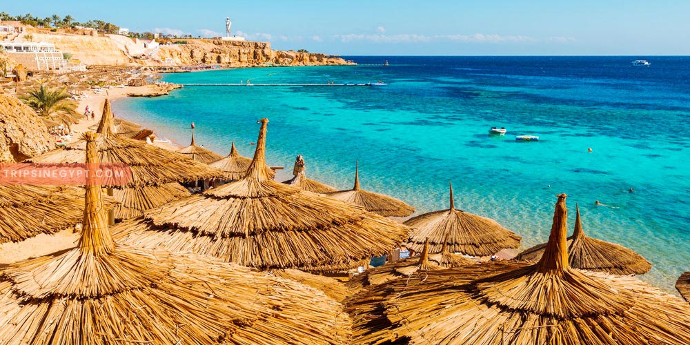 How to Enjoy the Best Excursions While Being In Safaga Port