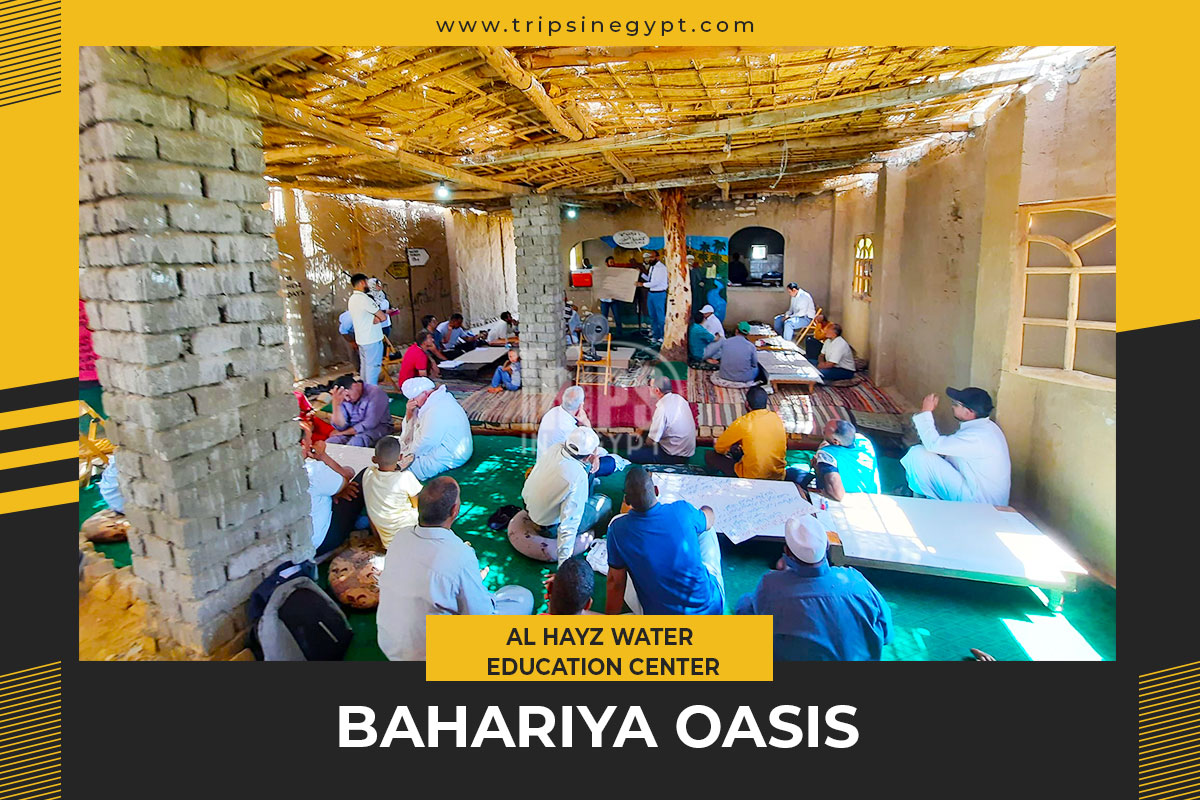 Bahariya Oasis Facts & Weather - Bahariya Attractions & Location | Trips in Egypt