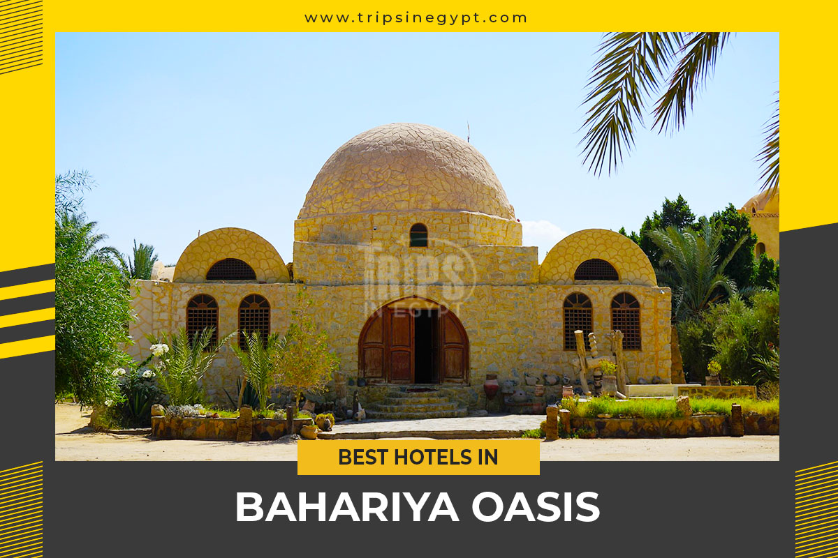Bahariya Oasis Facts & Weather - Bahariya Attractions & Location ...