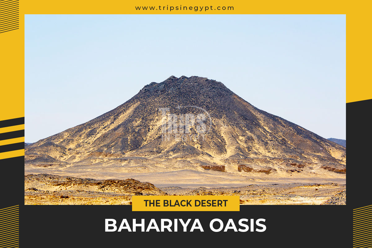 Bahariya Oasis Facts & Weather - Bahariya Attractions & Location ...