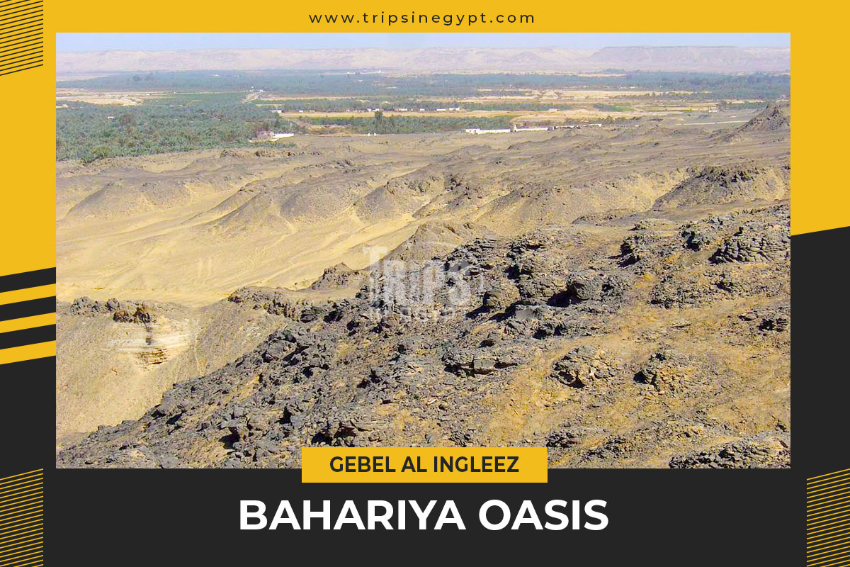 Bahariya Oasis Facts & Weather - Bahariya Attractions & Location ...