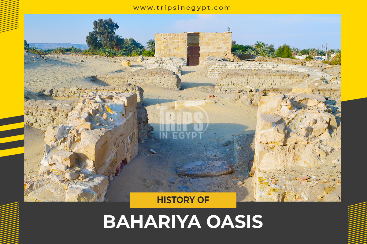 Bahariya Oasis Facts & Weather - Bahariya Attractions & Location ...