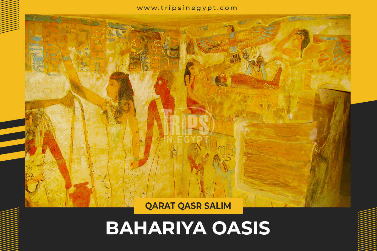 Bahariya Oasis Facts & Weather - Bahariya Attractions & Location | Trips in Egypt