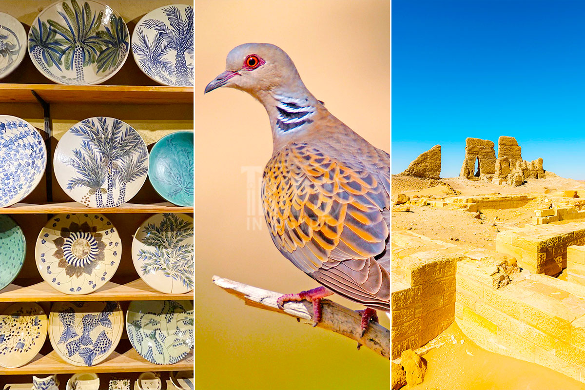 Faiyum Oasis: History, Attractions & Things to Do - Trips in Egypt