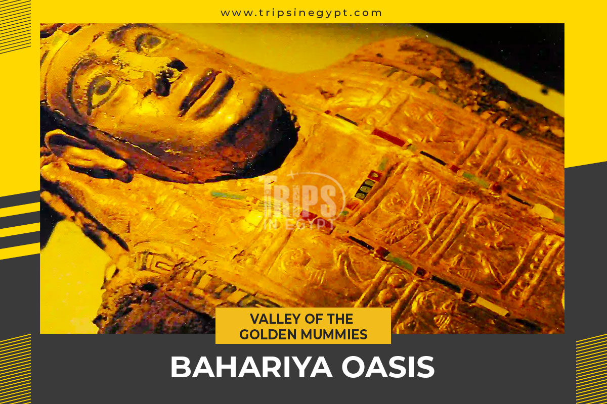 Bahariya Oasis Facts & Weather - Bahariya Attractions & Location ...