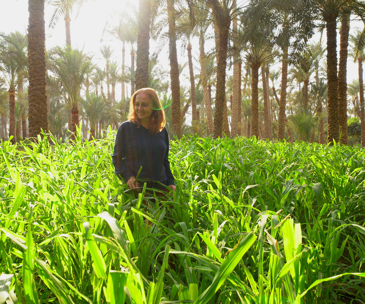 Full-Day Tour in the Egyptian Countryside - Trips in Egypt